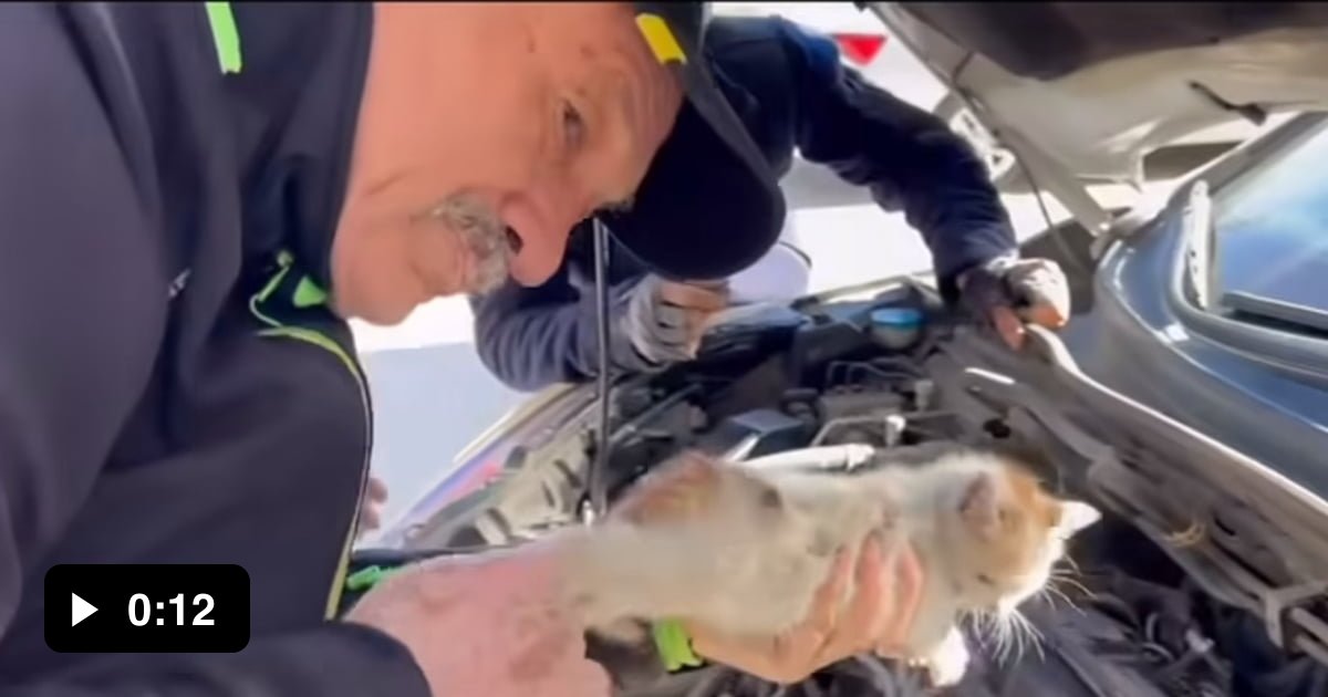 Rescue team saves a kitten that got stuck in a car engine in Turkey - 9GAG