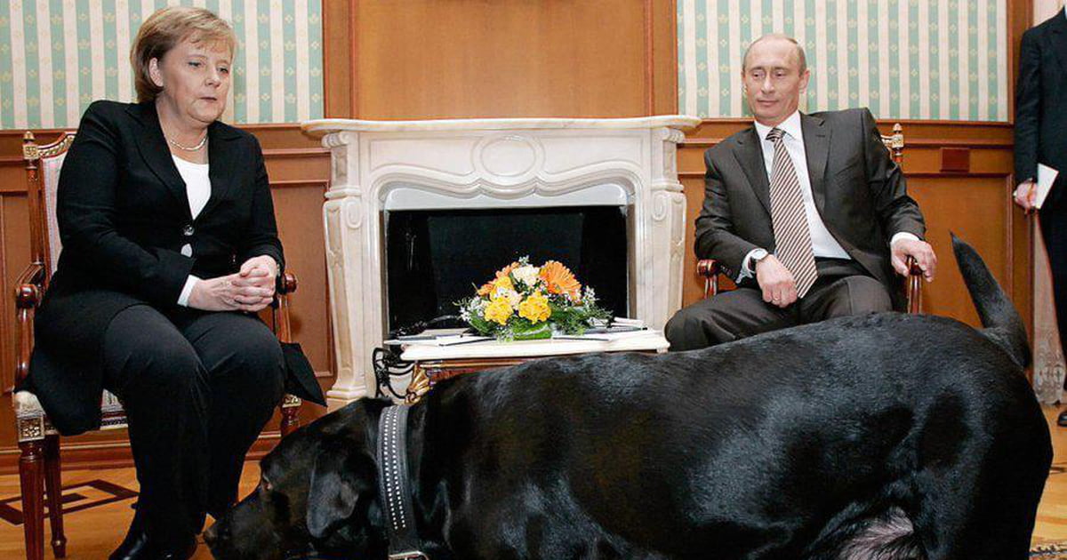 In January 2007, Putin brought his Labrador into a meeting with the ...