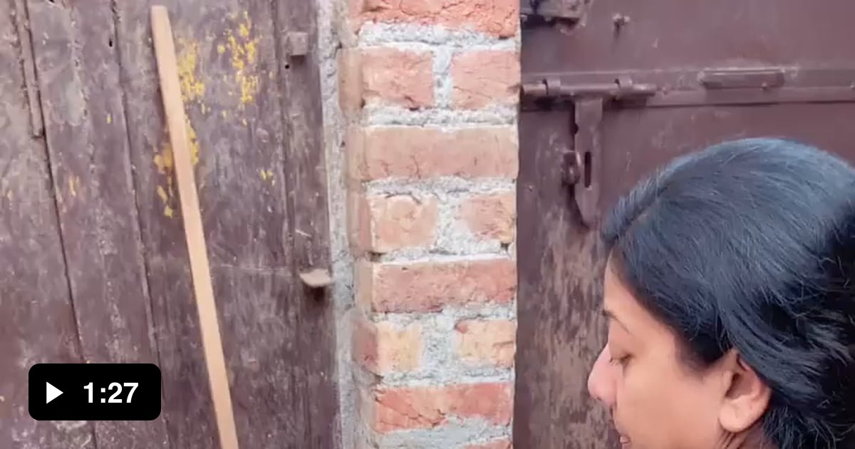 Rescued dog wouldn't sit anywhere else but on his rescuer's lap - 9GAG