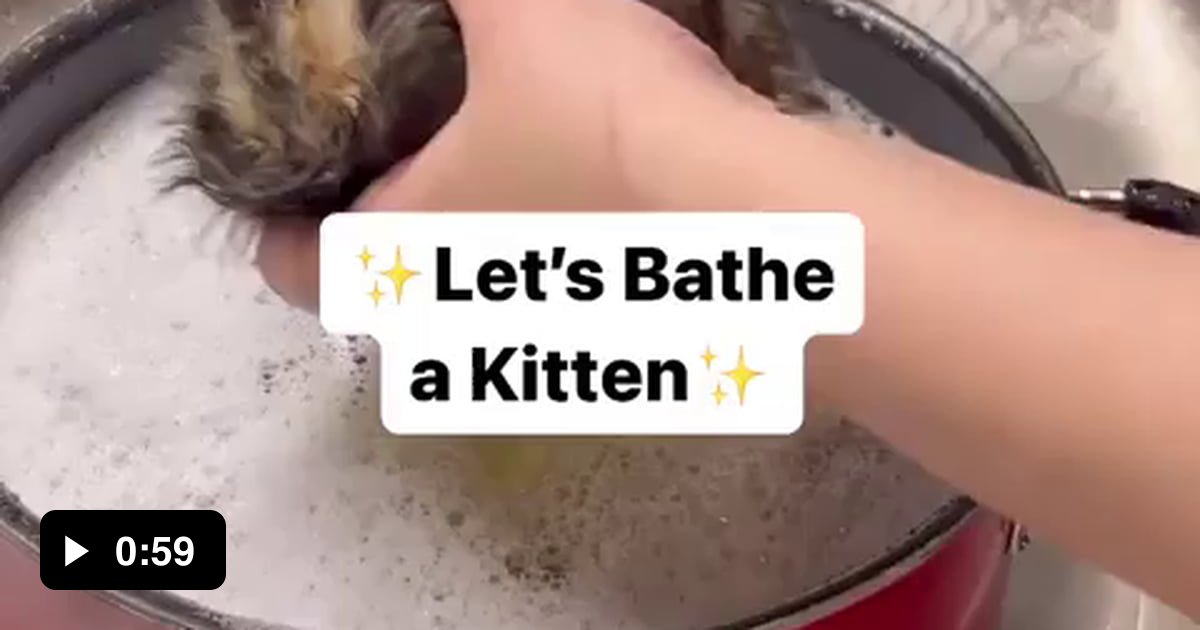 Chirp gets Clean! - 9GAG