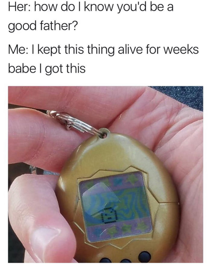 Proof of parenting skills: the digital pet saga - 9GAG