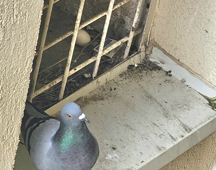 Good enough... - 9GAG