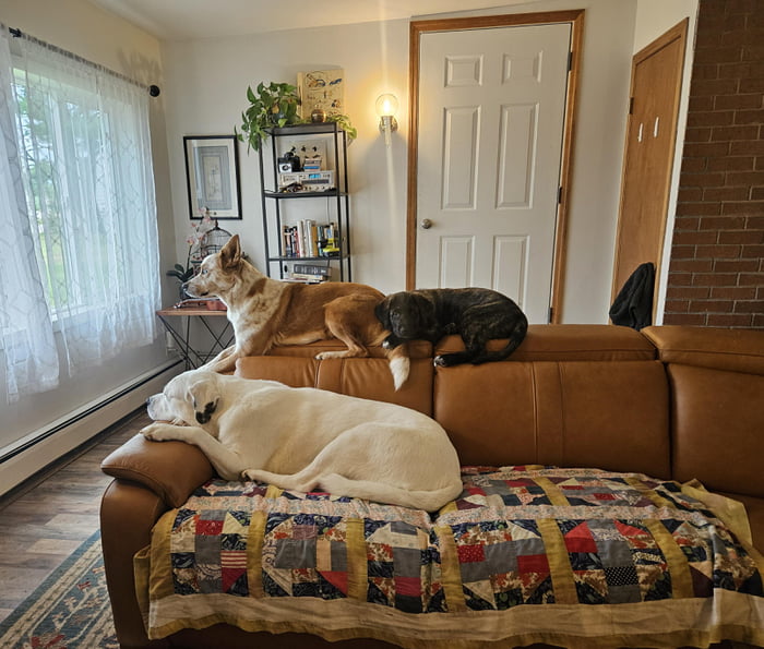 Making the most of the couch space. - 9GAG