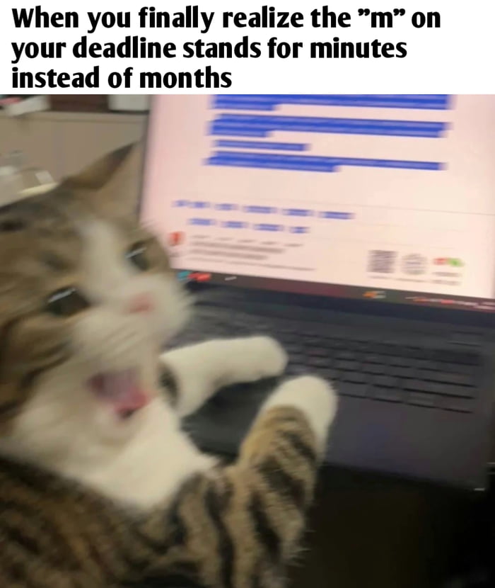 I thought i have some free time - 9GAG