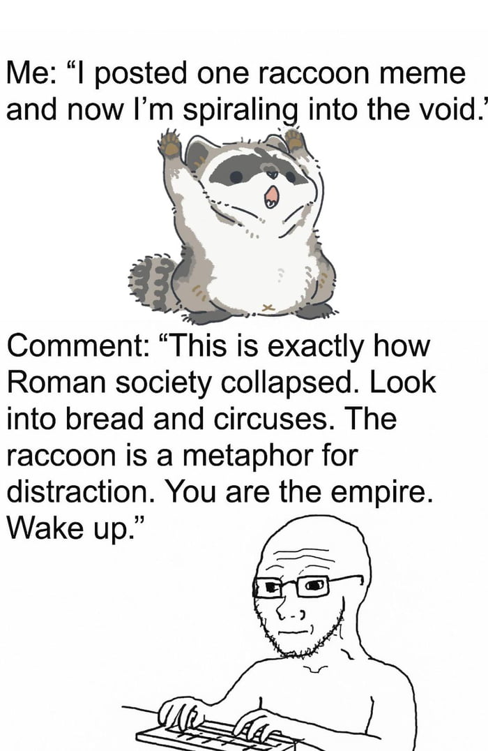 When a simple raccoon meme sparks a philosophical debate on societal ...