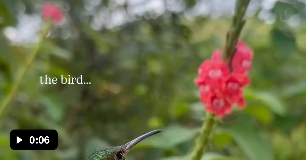 So tiny and precious - 9GAG