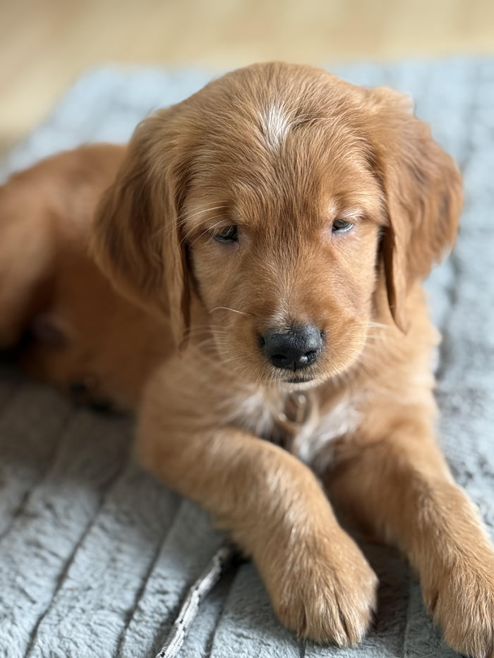 Guess who just slept through the whole night for the first time? - 9GAG