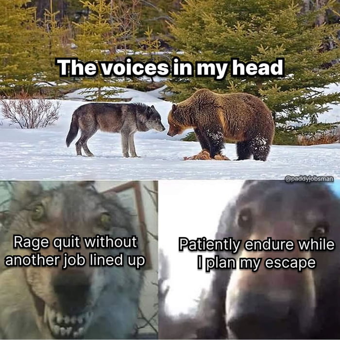Delusions of getting a new job and rage quitting the current shit job - 9GAG