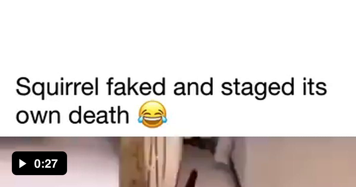 This squirrel deserves an Oscar for best dramatic performance. - 9GAG