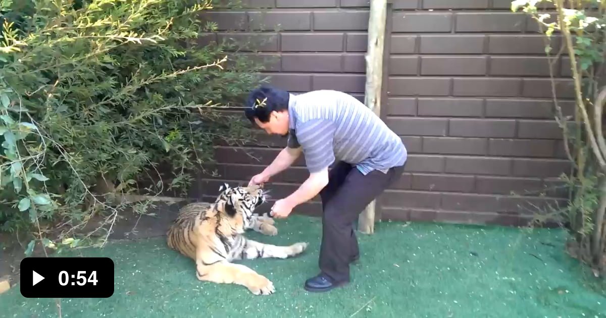 It’s okay, it’s fren shape - 9GAG