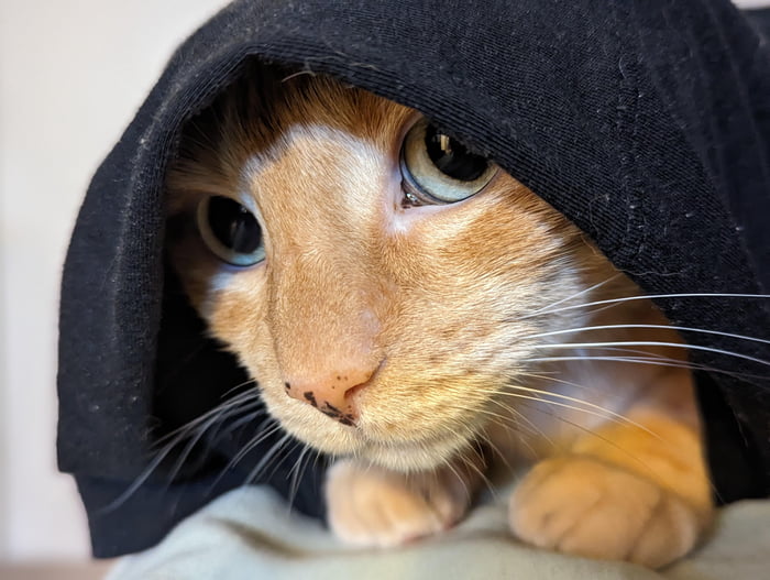 Darth Orange - 9GAG