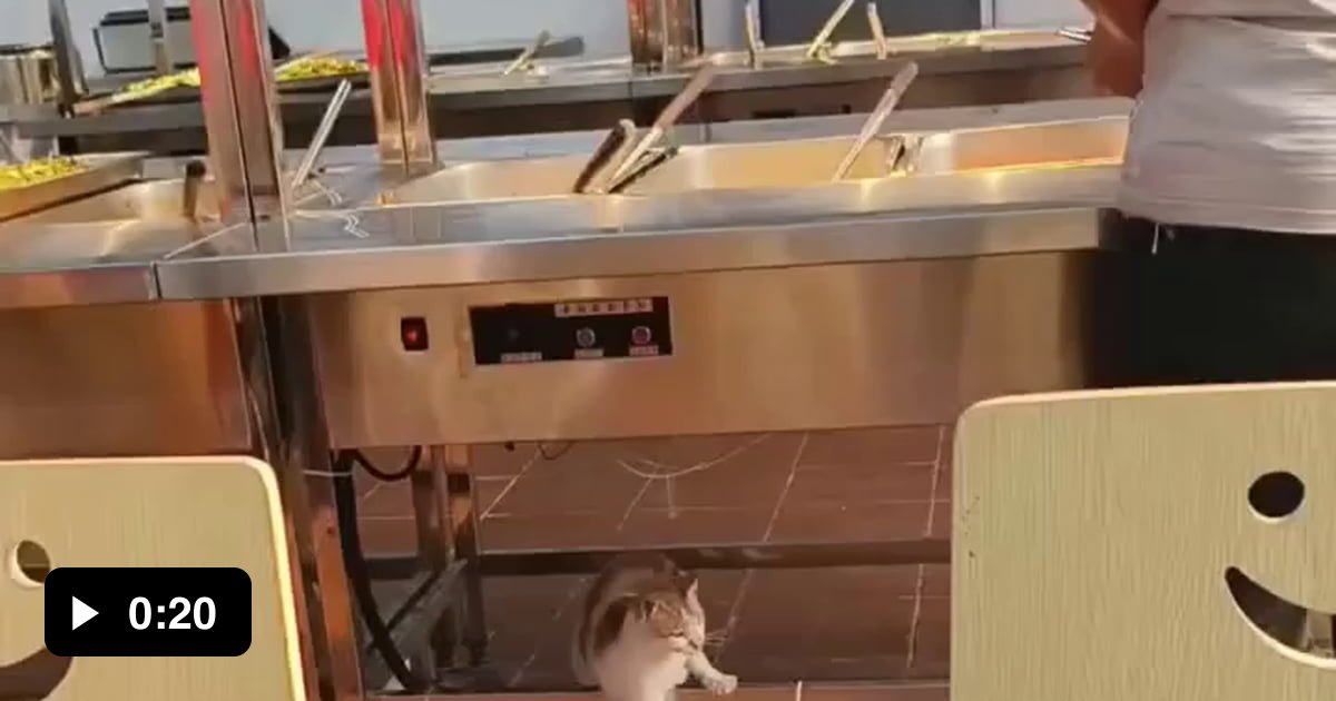 Not sure what she is thinking but it must be very deep - 9GAG