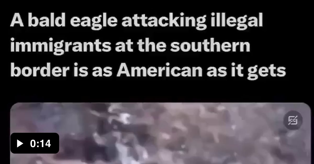 American Bald Eagle attacks illegal immigrants trying to cross the border :) - 9GAG