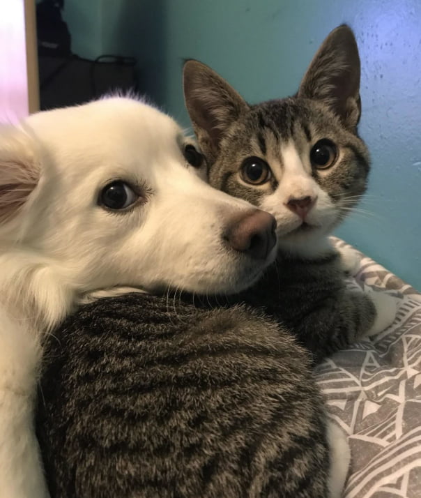 Two Jolly Friends 🥰 - 9GAG