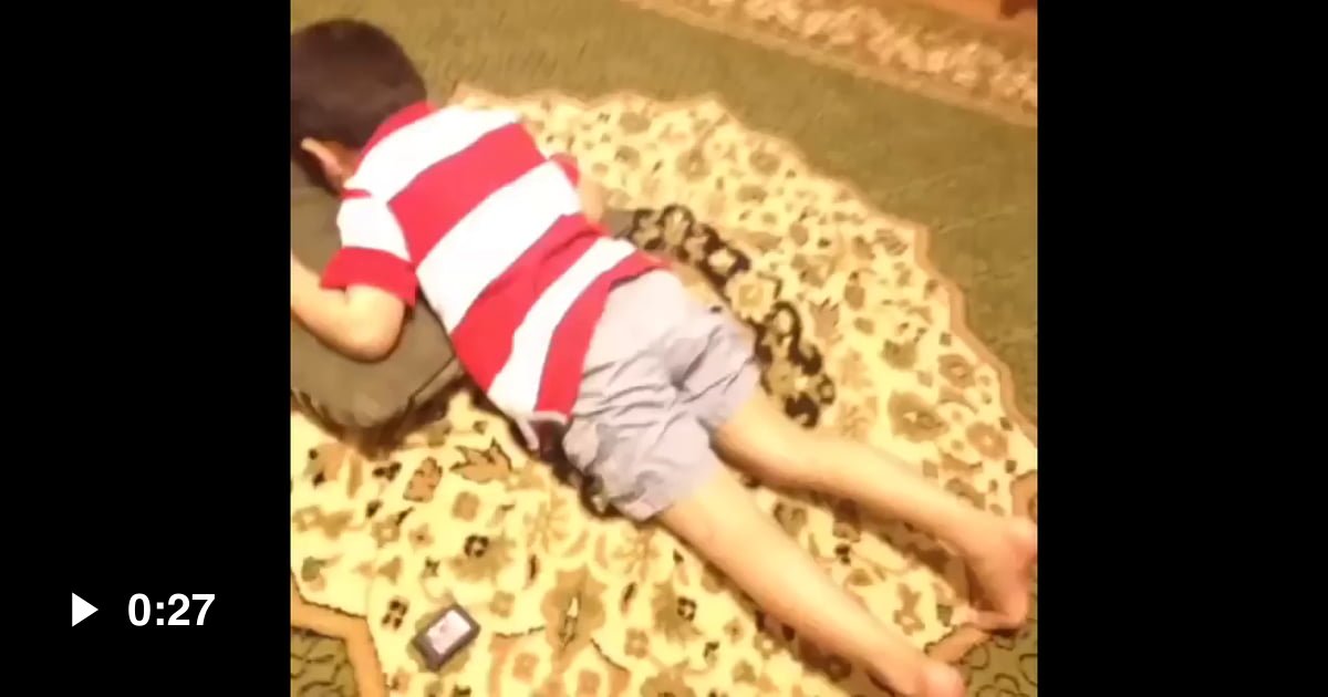 Fly Swatter Remix - 9GAG