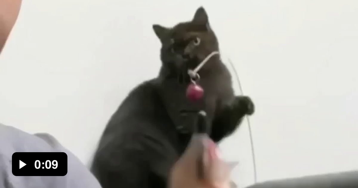 Role reversal😂 - 9GAG