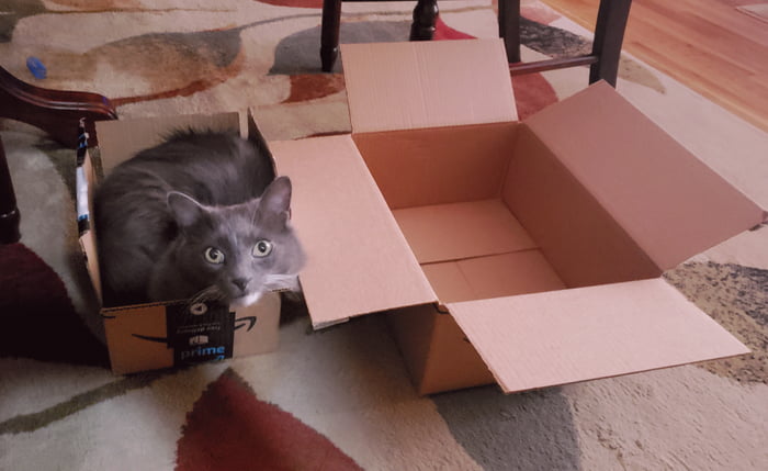 Benny and the smaller box - 9GAG