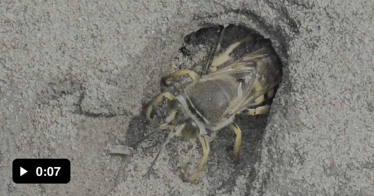 Don't sit down, it's time to dig another one. - 9GAG