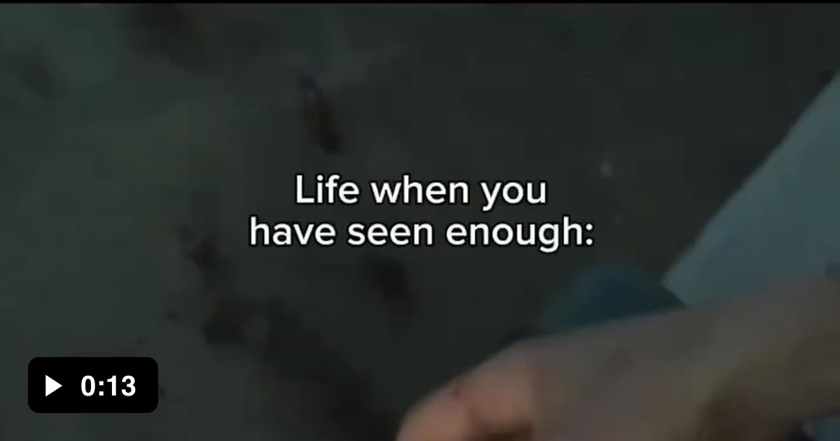 It’s a peaceful life…. - 9GAG