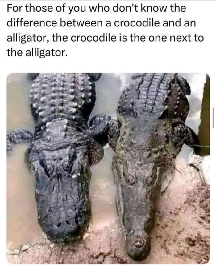 Yes. That one. - 9GAG