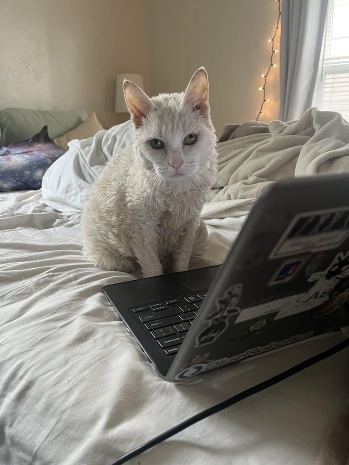 Computer scientist at your service - 9GAG