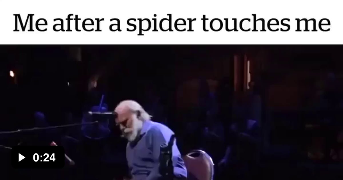 When a spider touches you, you become a human maraca. - 9GAG