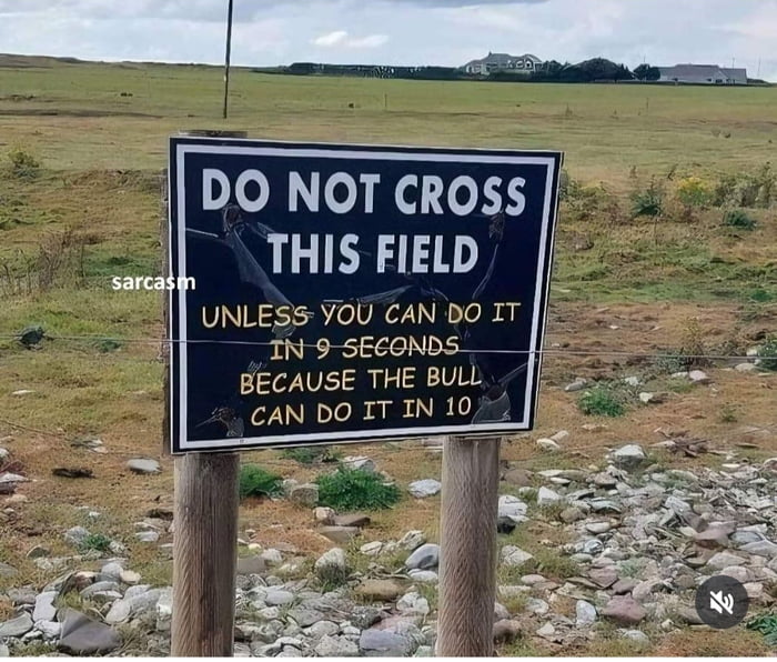 But why did the bull cross the field? - 9GAG