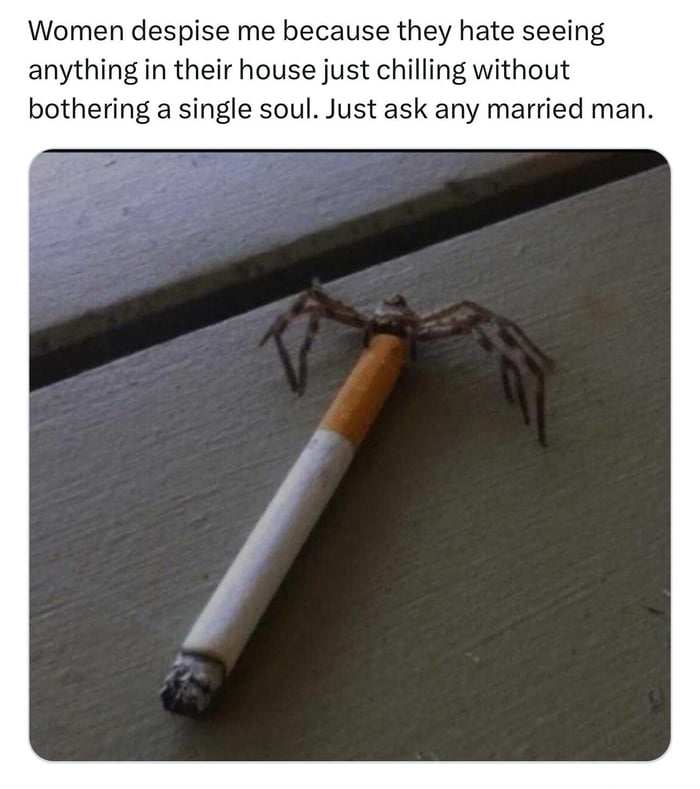 I’m just chilling on the ceiling damn - 9GAG