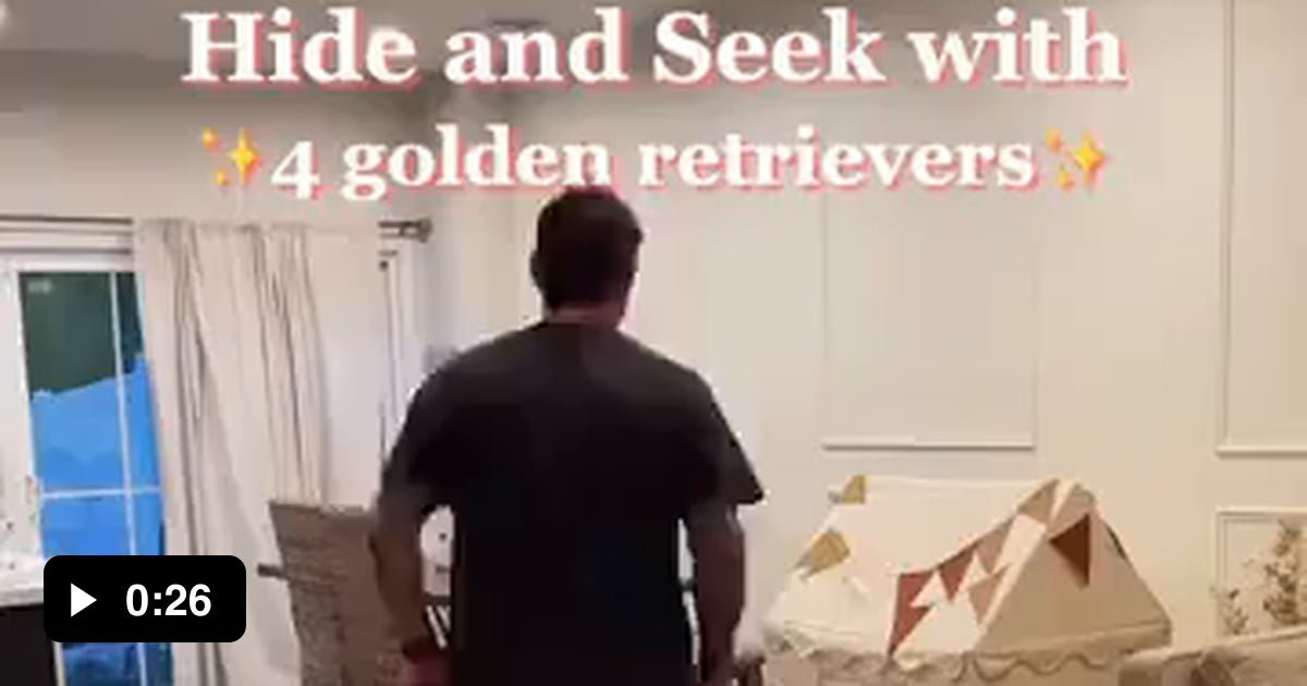 Playing hide and seek - 9GAG