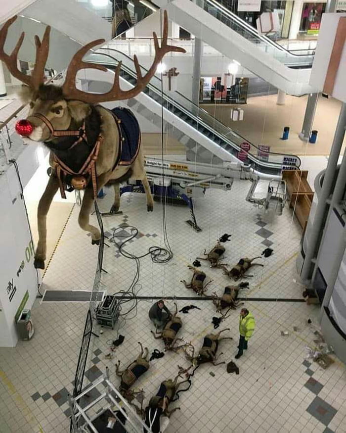 Rudolph got sick of all that red nose jokes. - 9GAG