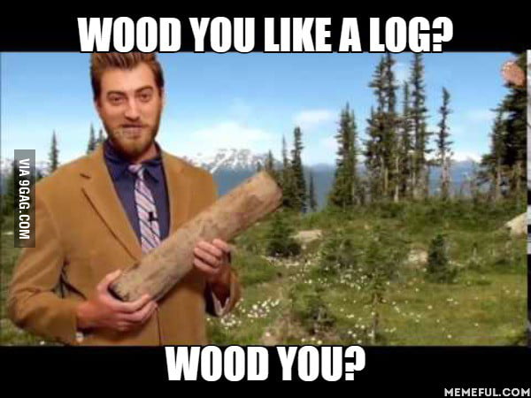 Wood you like a log?. wood you? - 9GAG