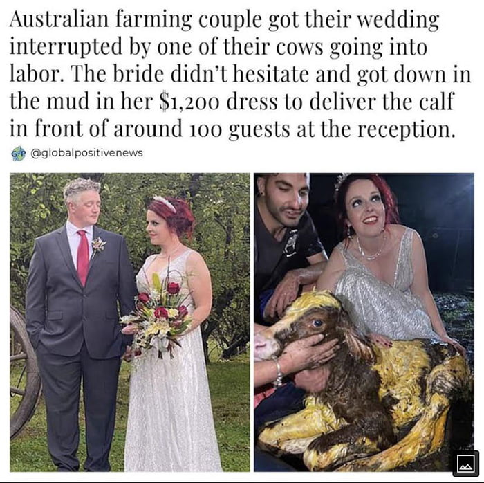 Meanwhile in Australia - 9GAG