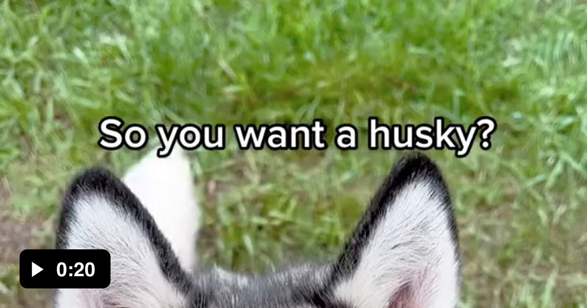 Dunno, they're crazy for sure, but it's funny as hell:) - 9GAG