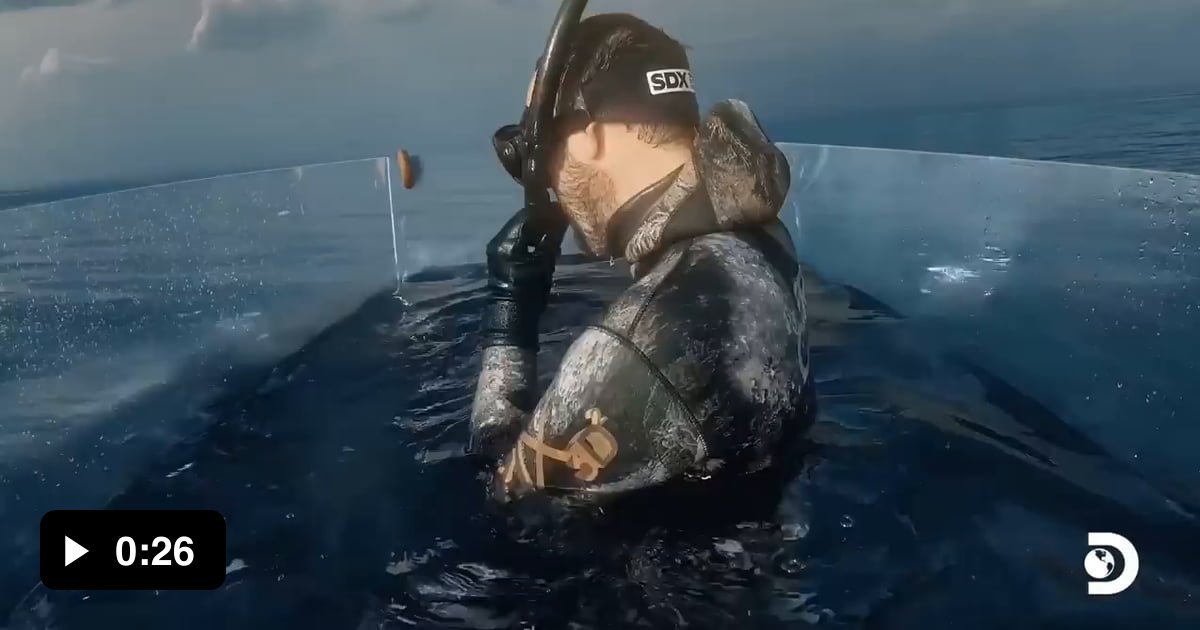 Man in perspex box barely escapes Great White Shark attack - 9GAG