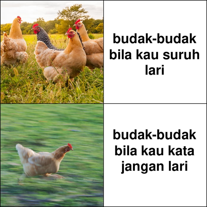 Bila kecik tak dengar arahan, dah besar dengar arahan boss. - 9GAG