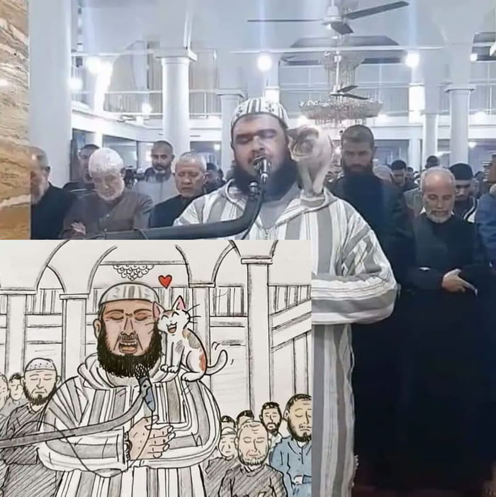 Cat Leaps On Imam Sheikh "Walid Mahsas" During Ramadan Prayers In ...
