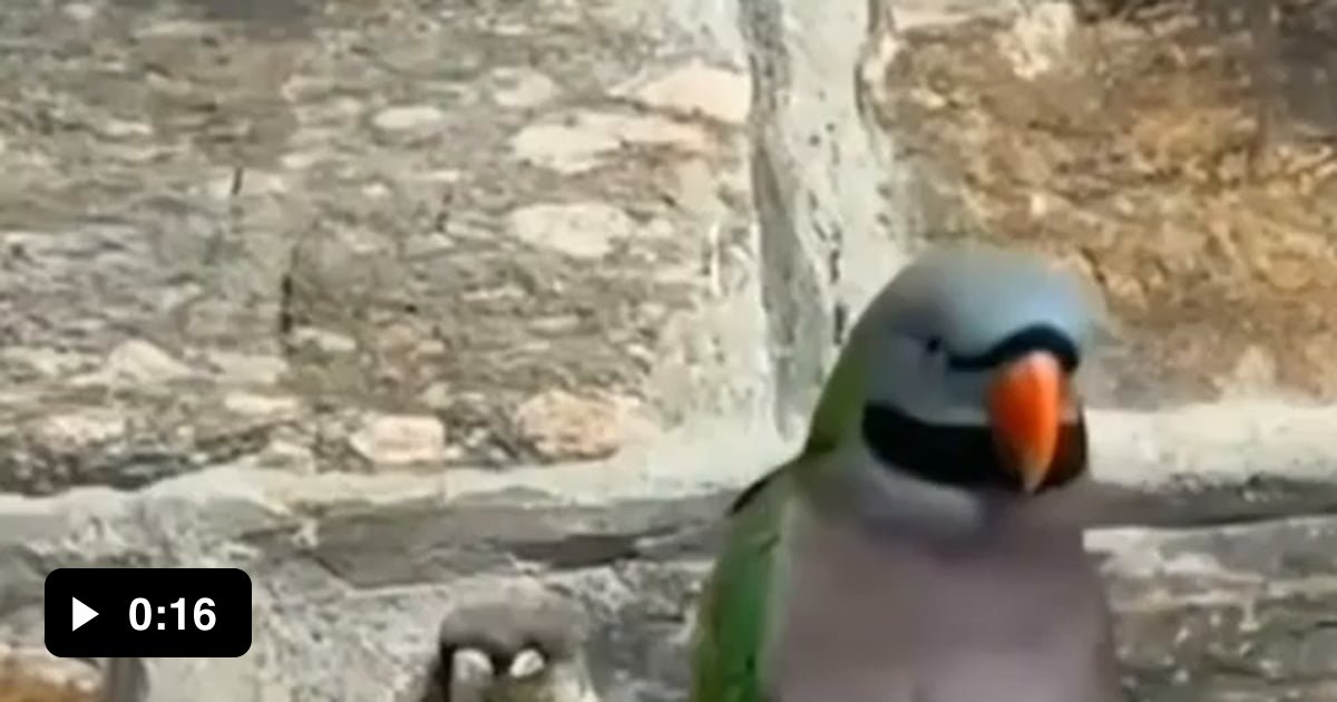 When vibes are off No caps. - 9GAG