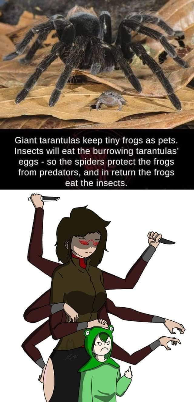 Haha die trash - 9GAG