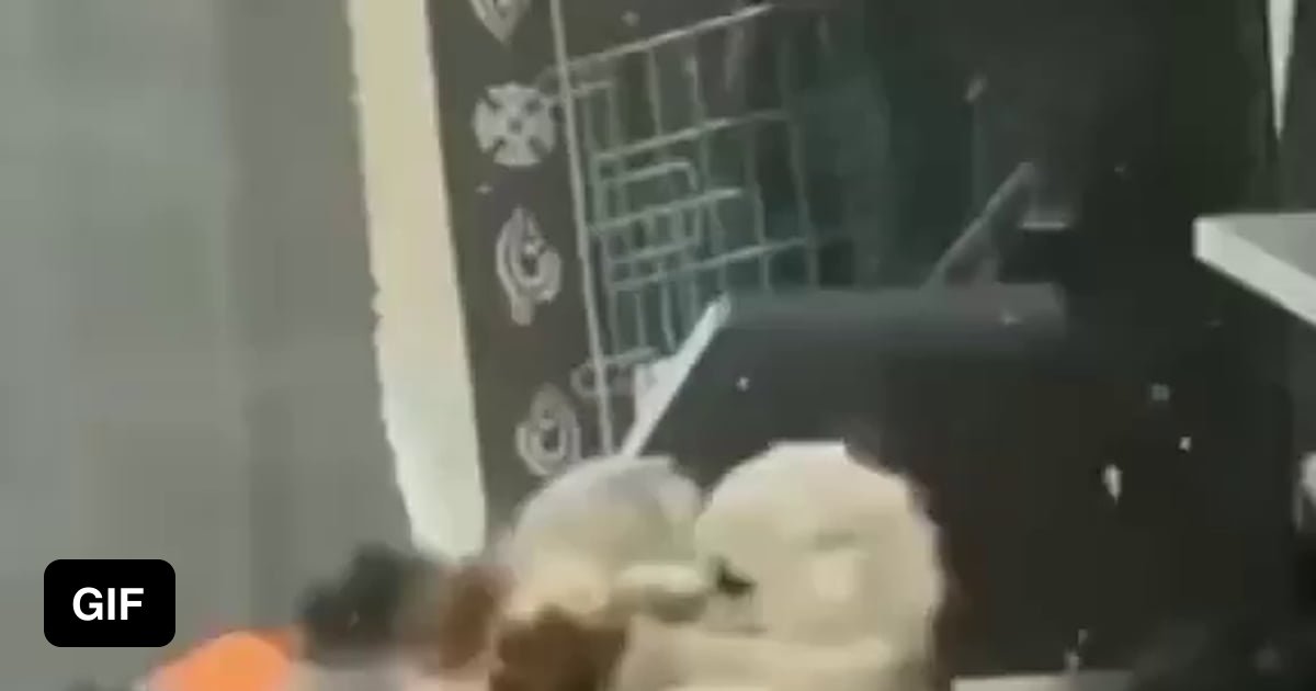 Pap pap pap pap pap pap pap - 9GAG