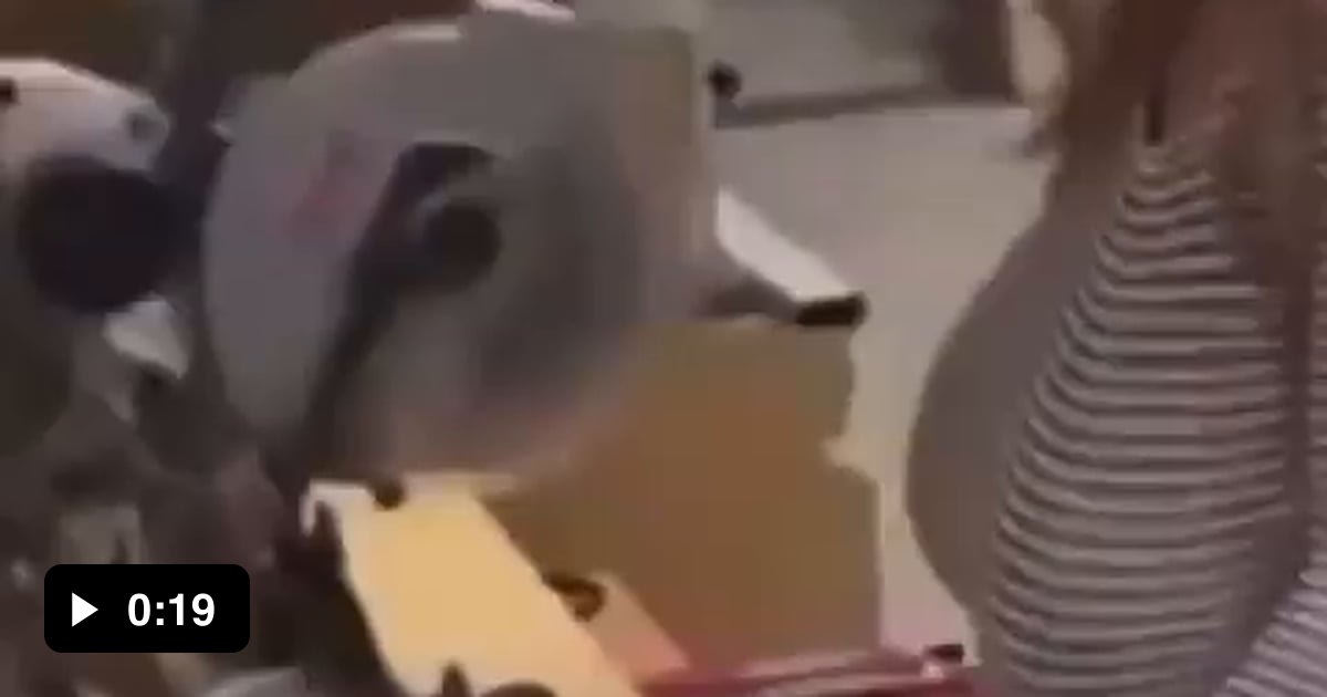 That's Kayla Lemieux from Trafalgar High School, Ontario, Canada. That's a dude identifying as ...