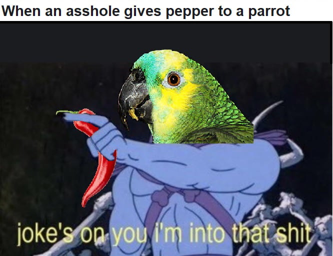 Parrots just like pepper - 9GAG