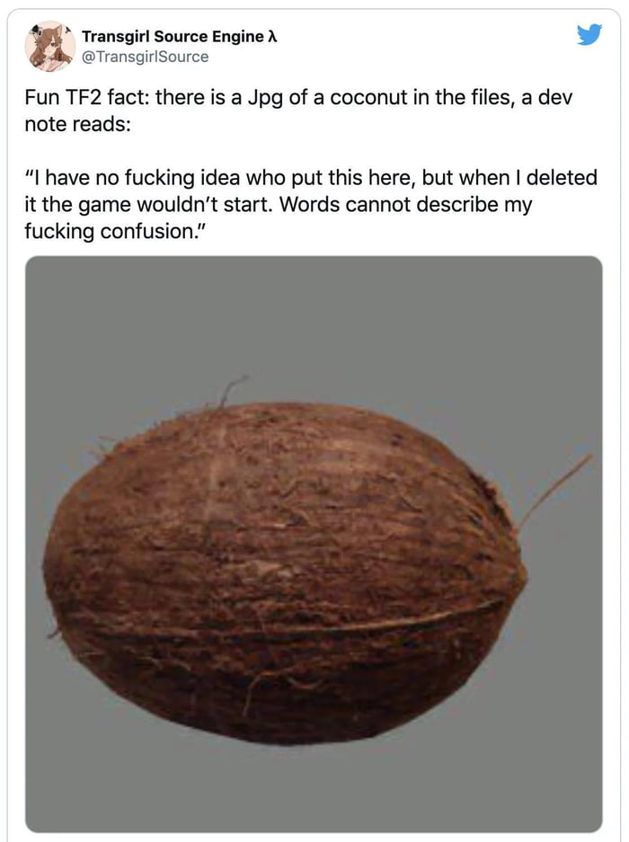 The hardcoded coconut - 9GAG