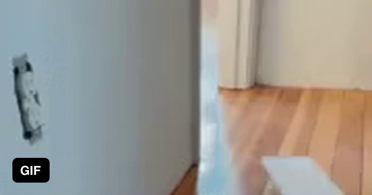 Pure satisfaction - 9GAG