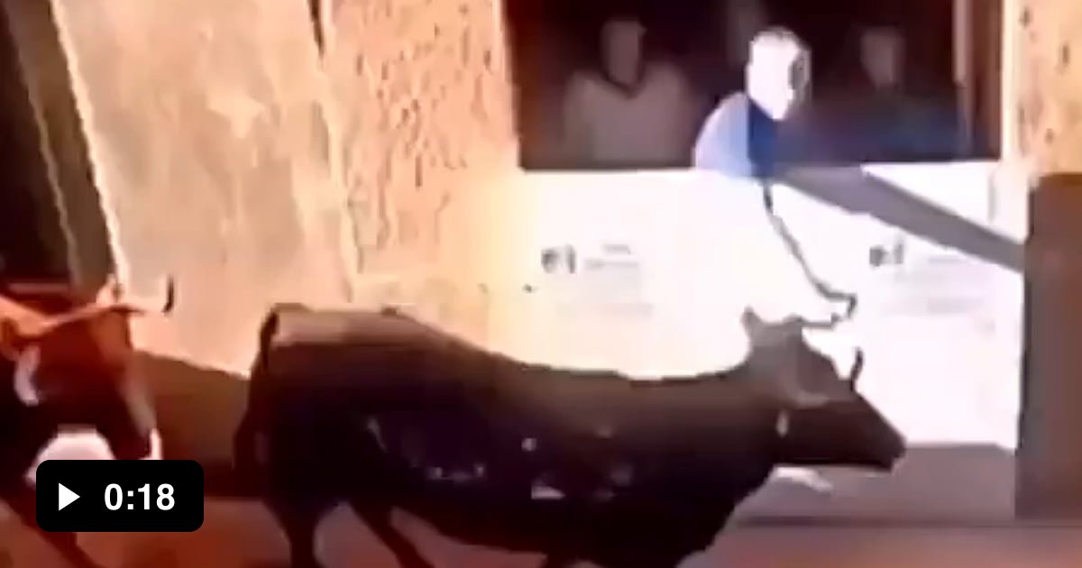 Do not the bull - 9GAG