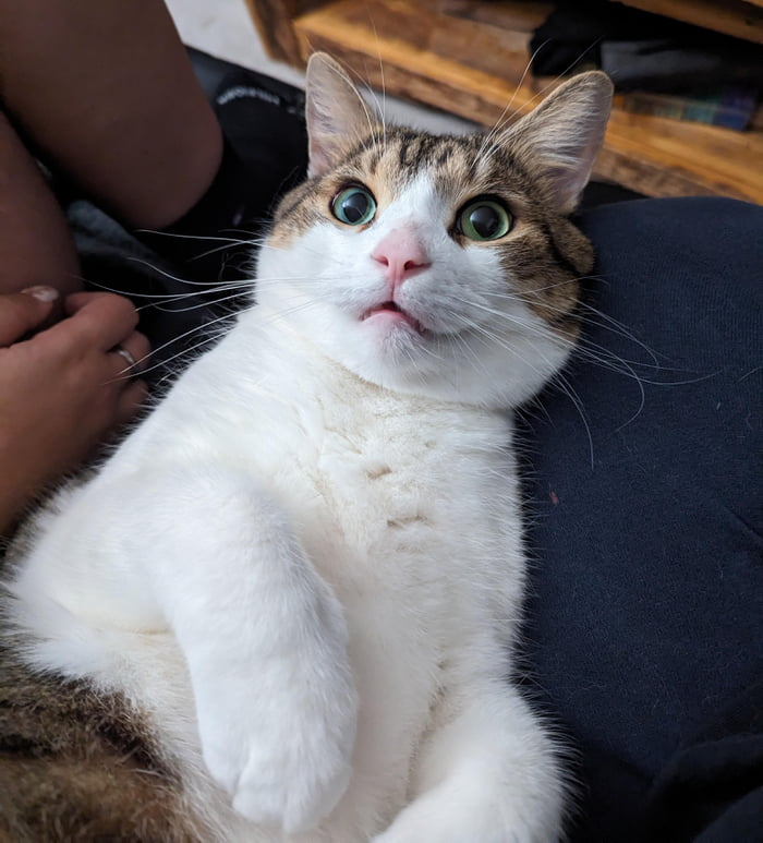 What's he thinking? - 9GAG