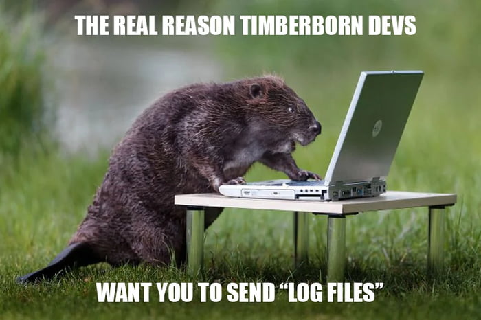 Timberborn devs - 9GAG