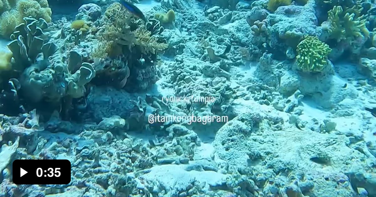 Earthquake Dive - 9GAG