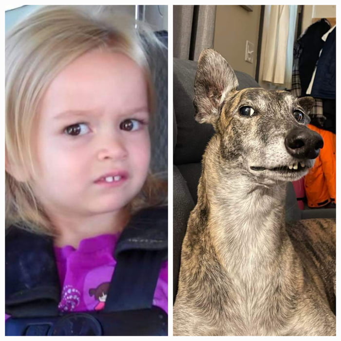 No difference - 9GAG