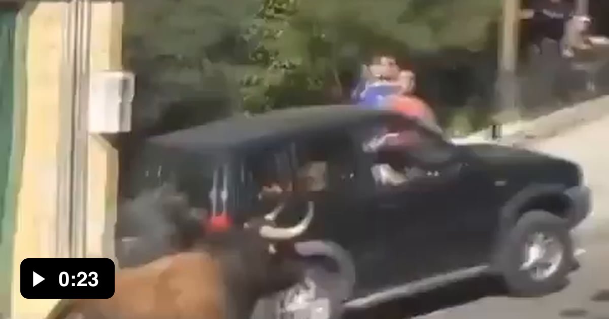 The strength of the bull.... - 9GAG