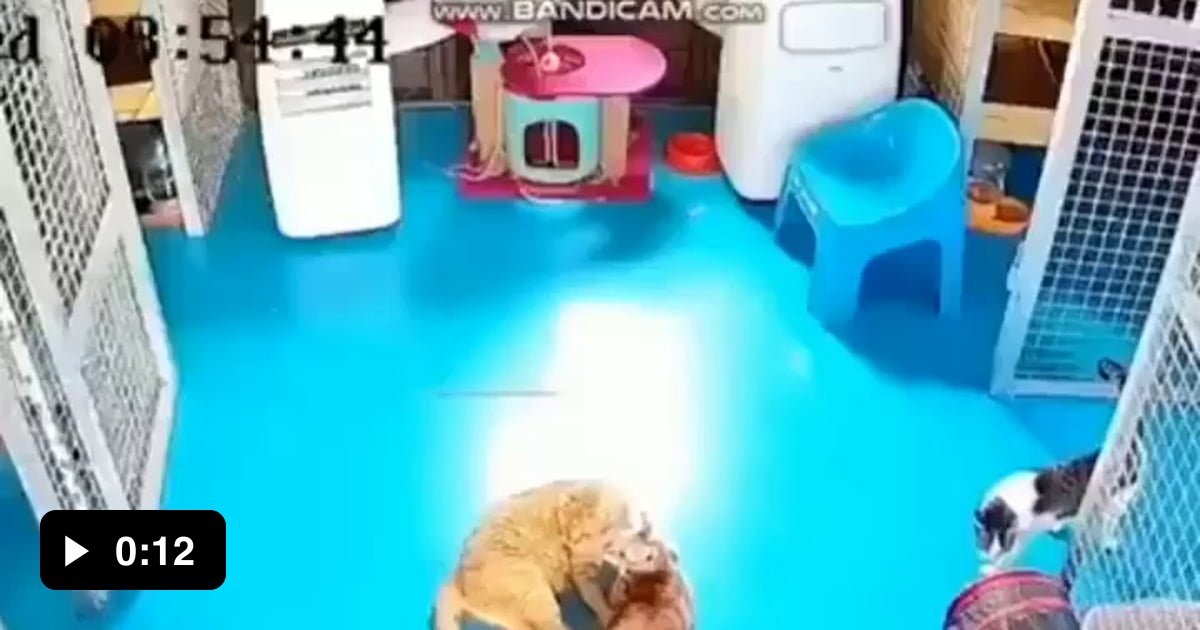 This seat is taken - 9GAG